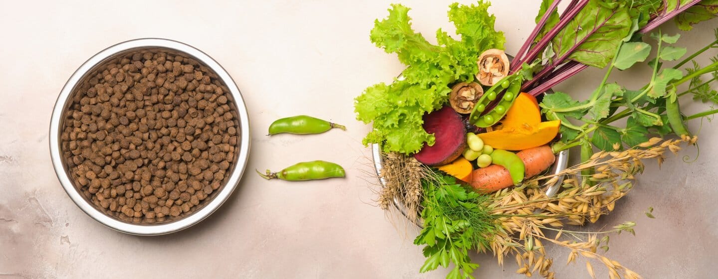 Vegan Pet Food Market May See a Big Move | Major Giants Benevo ...
