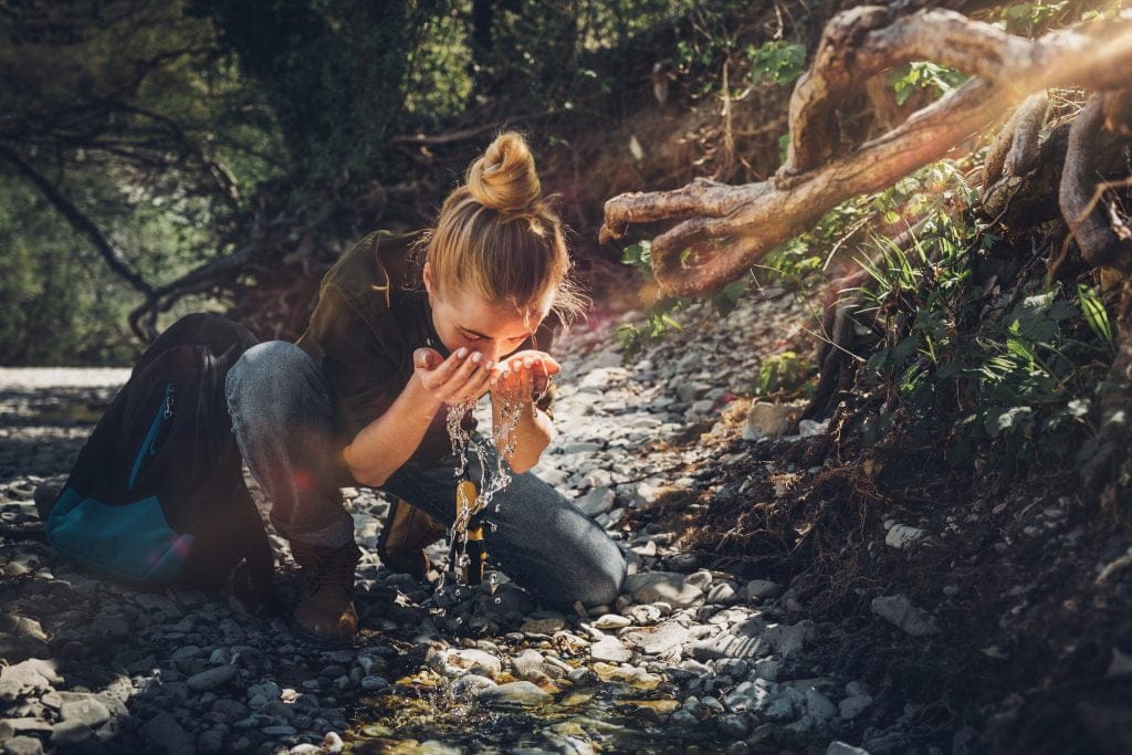 Wolfland Survival: Fostering Resilience in Uncertain Times - Newstrail
