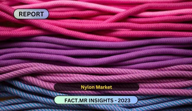 Nylon Market Growth at 5.9% CAGR Positions It for a US$ 60.5 Billion ...