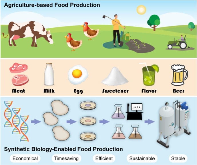 Synthetic Biology in Agriculture and Food Market is in Huge Demand ...