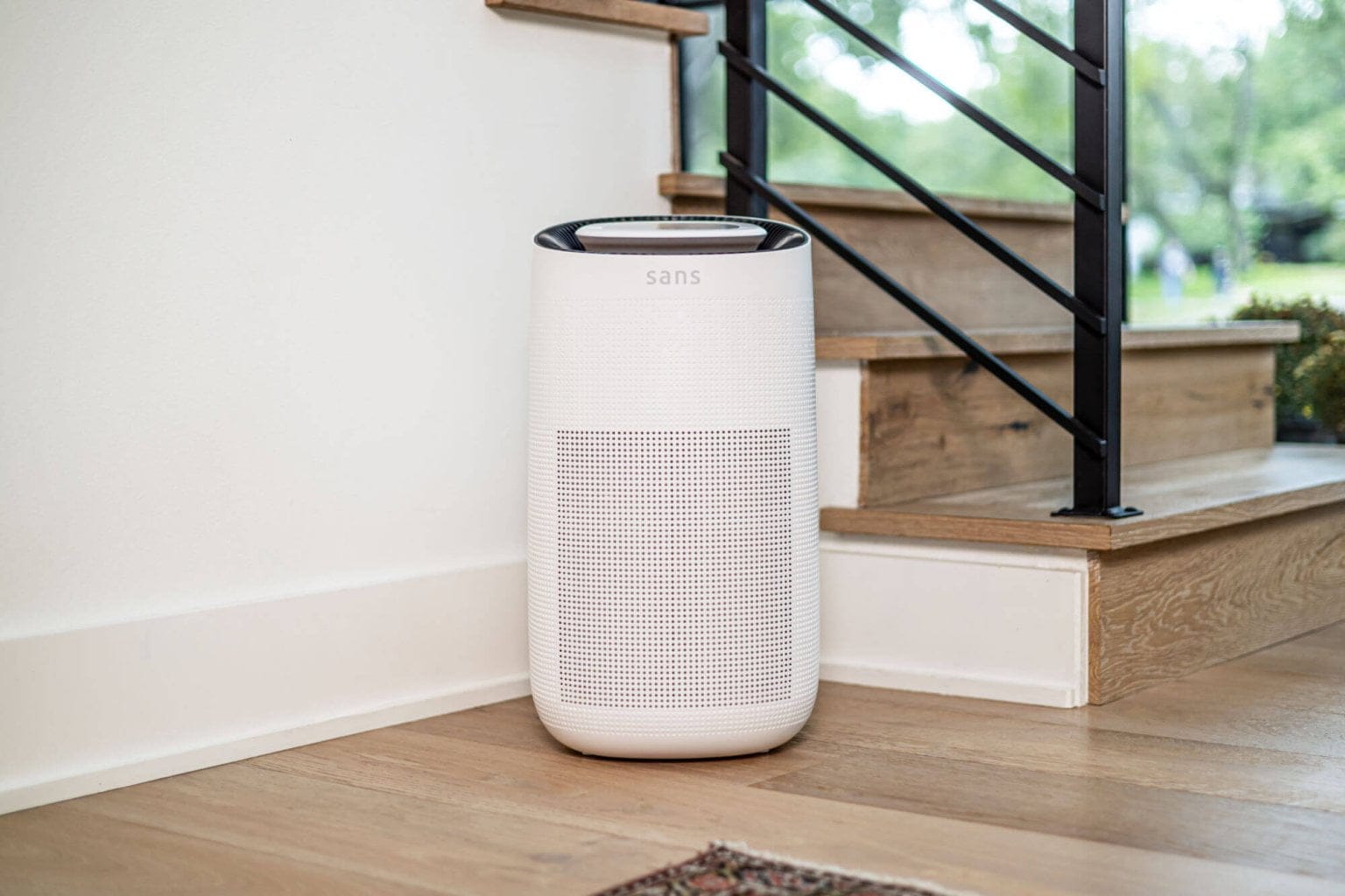 20 Best Air Purifiers: Reviewing Air Purification Systems in 2024 ...