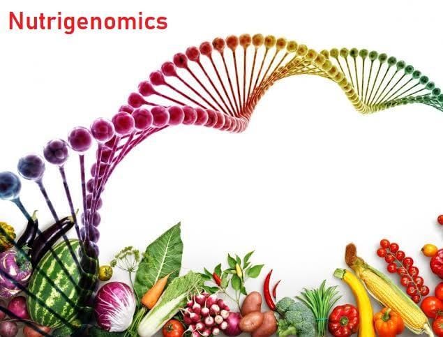 Nutrigenomics Testing Market: Regaining Its Glory| BASF SE, Danone ...