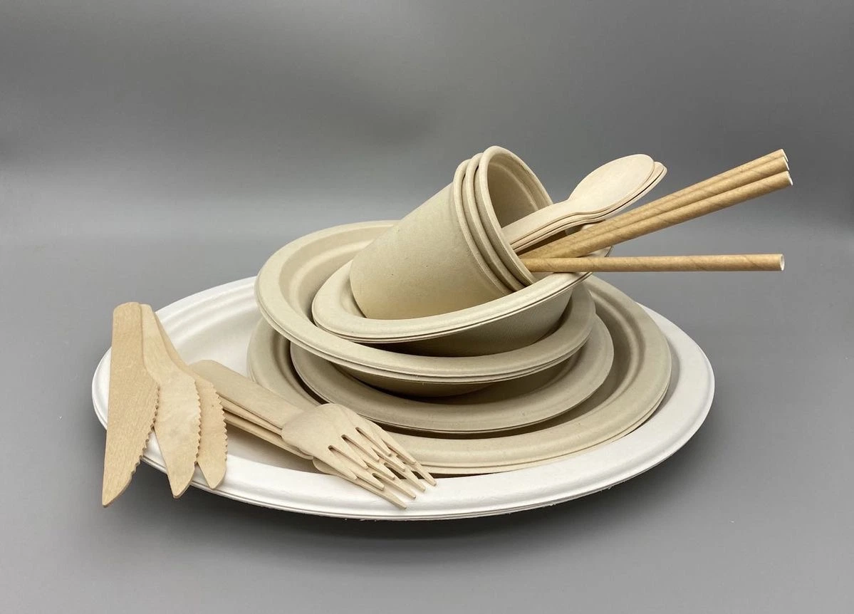 Paper-Pulp based Disposable Tableware Market Rapidly Gaining Traction ...