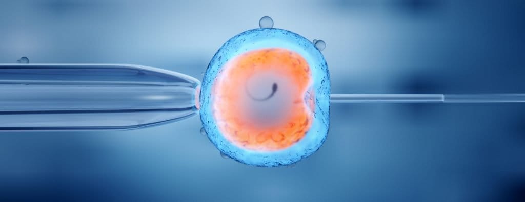 Fertility Services Market Is Fast Approaching, Says Research : Merck ...