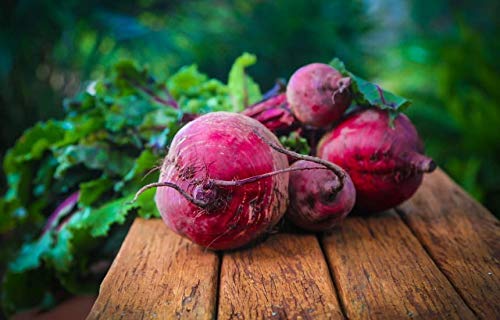 Sugar Beet Seed Market to Set Phenomenal Growth |KWS , Betaseed - Newstrail