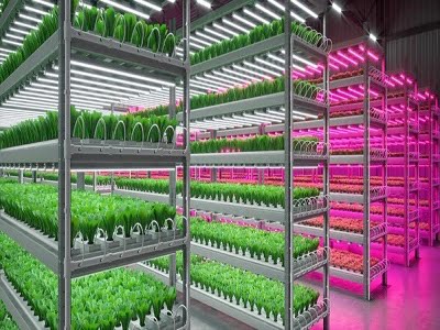 Indoor Farming Market is Booming Worldwide | AeroFarms, Windset Farms ...