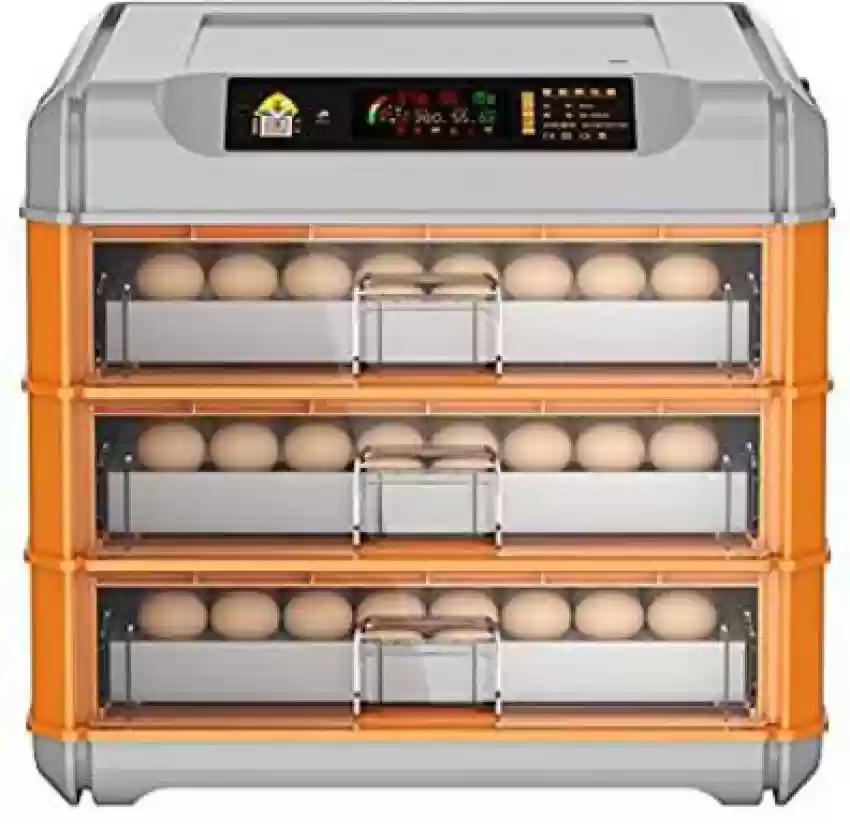 Egg Incubator Market to See Huge Growth by 2032 | HatchTech, Corti, Petersime - Newstrail