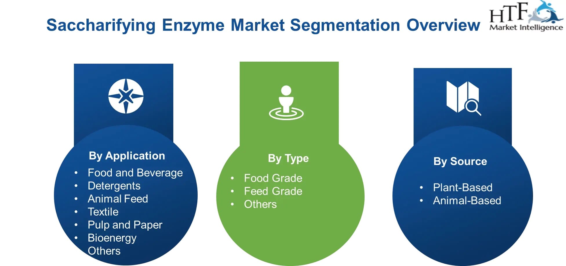Saccharifying Enzyme Market Review: All Eyes on 2024 Outlook | Amano ...
