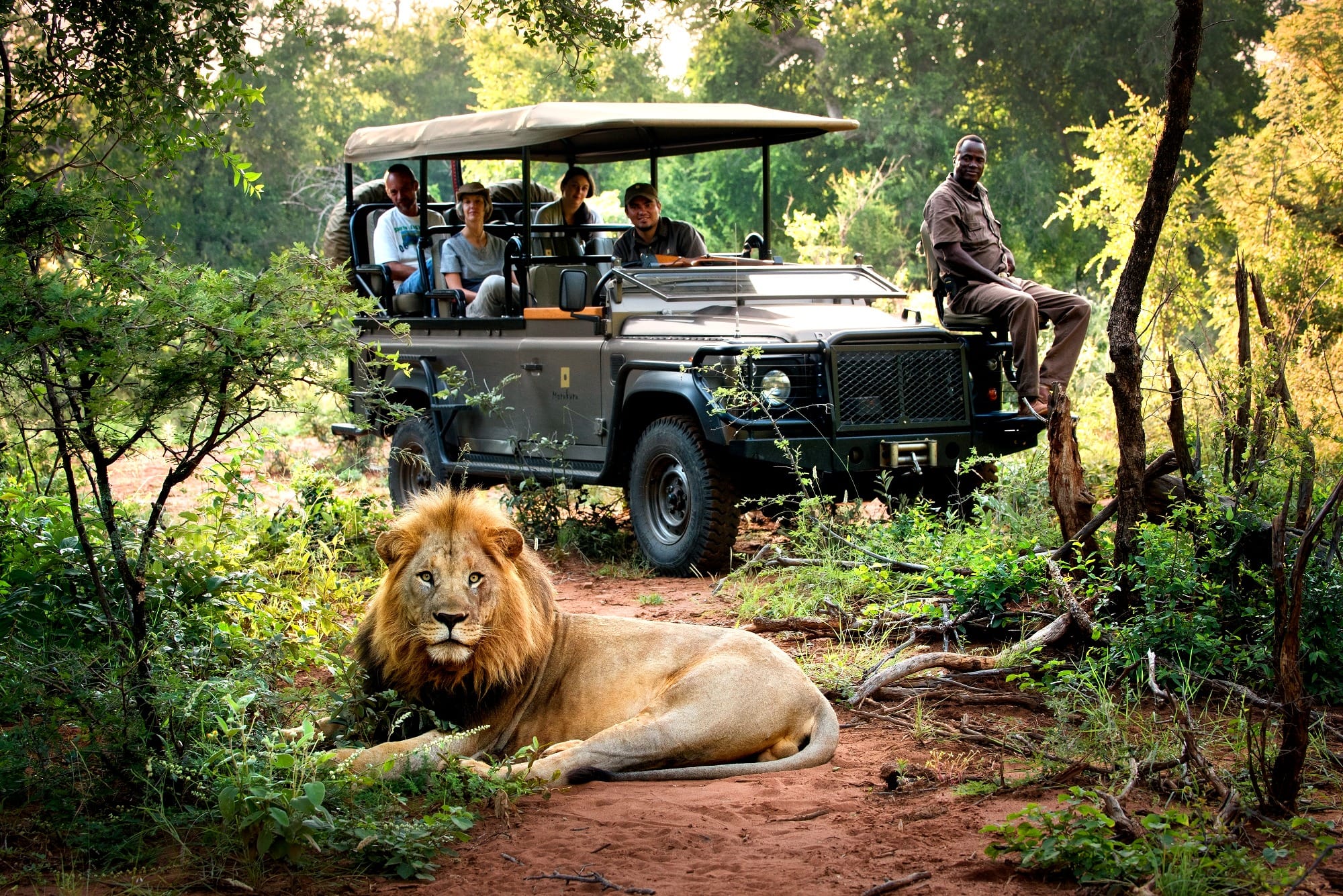 Africa Luxury Safari Tourism Market Likely to Boost Future Growth ...