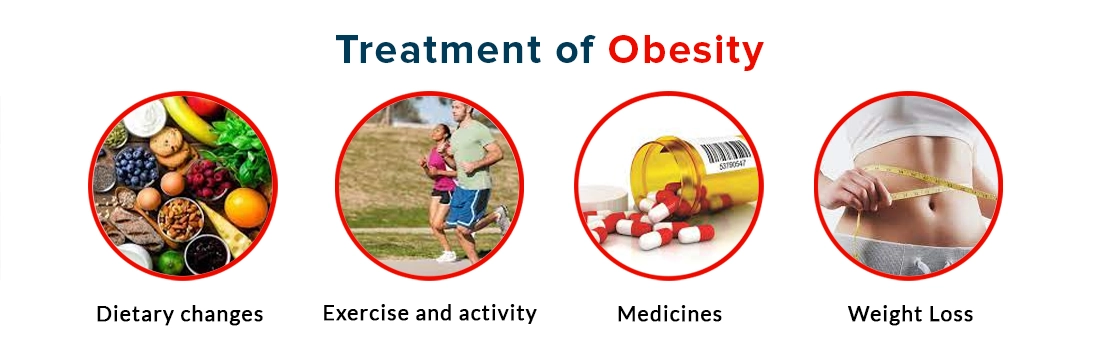 Obesity Treatment Market Report 2025-2032| Novo Nordisk, Eli Lilly ...