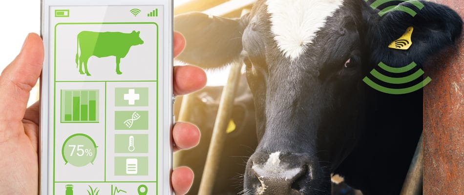 Livestock Management Software Market to See Stunning Growth | FarmLogs ...