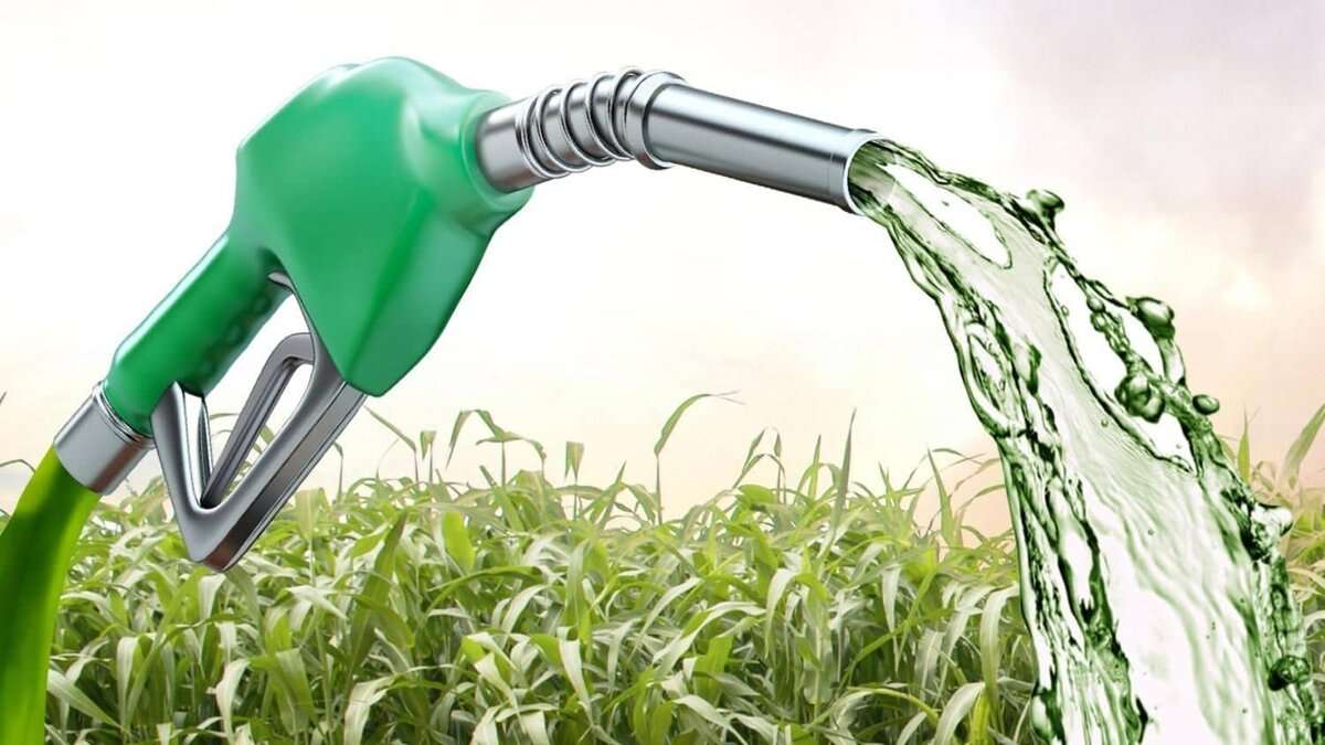 Bio Methanol Market Is Going to Boom | Major Giants BASF, Methanex, OCI ...