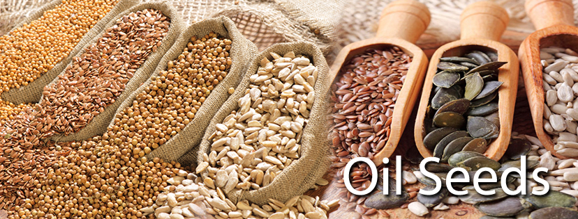 Oilseeds Market to Get a New Boost | Cargill, ADM, Bunge, Olam ...