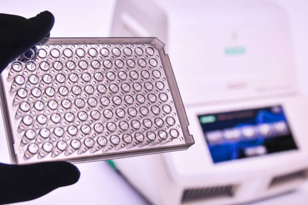 Digital PCR and Real Time PCR Market Outlook 2025: Forecasting Growth ...