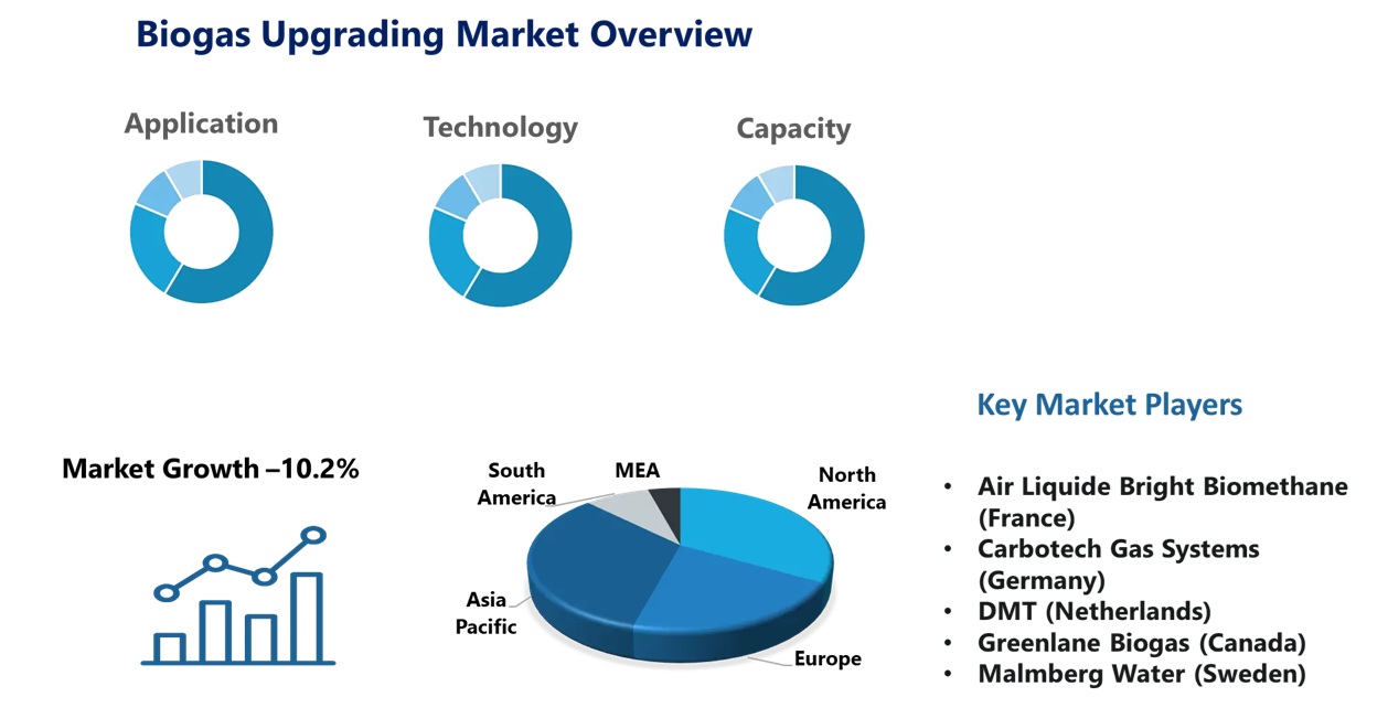 Biogas Upgrading Market to Witness Stunning Growth | DMT, Greenlane ...