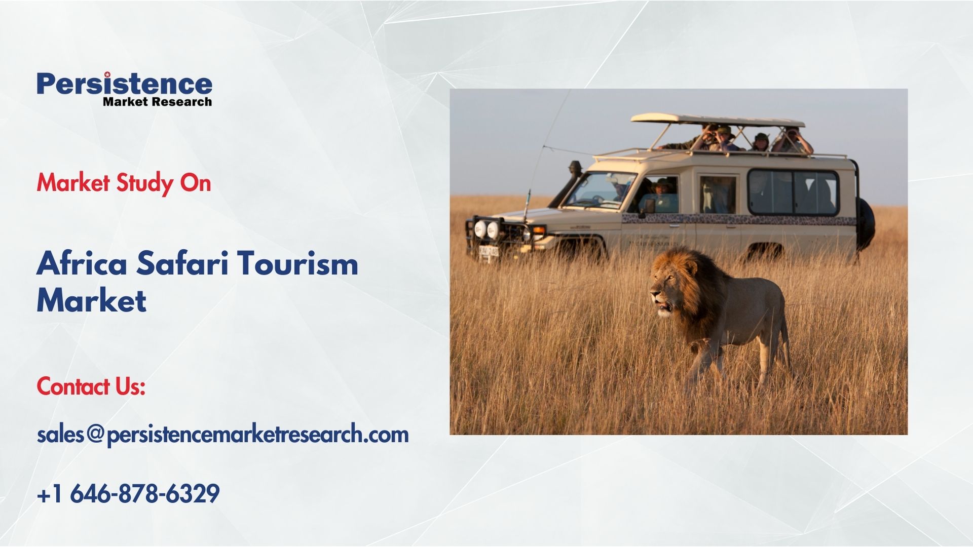 Africa Safari Tourism Market to Reach $25.7 Bn by 2032, Driven by ...