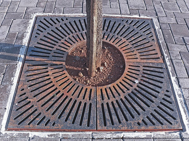 Metal Floor Drain Sector Size, Share, Growth, Forecast 2025–2035 ...