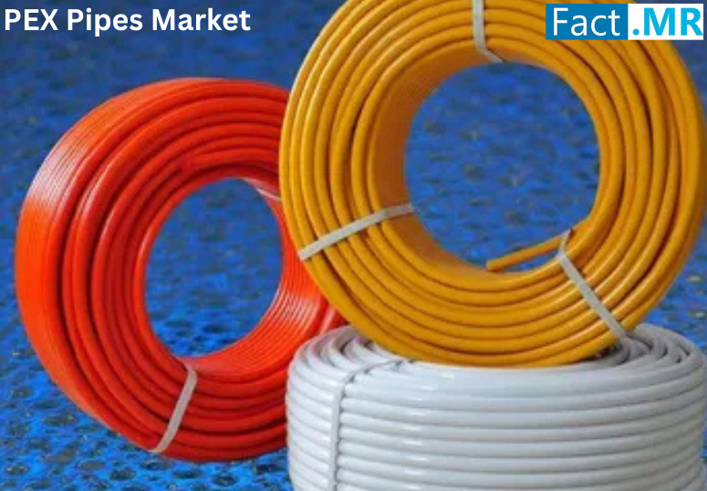 Evolving Dynamics in the Global PEX Pipe Market: Types, Applications ...