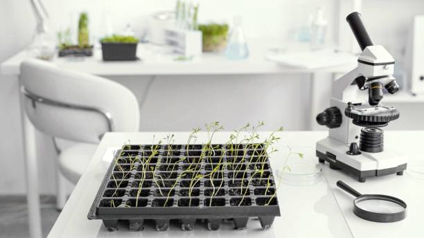 Plant Genotyping Equipment Market Dynamics: Regional Breakdown and ...