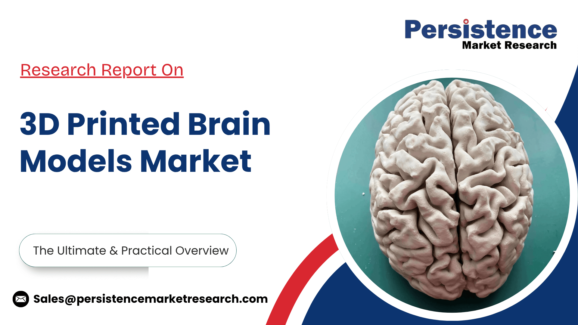 3D Printed Brain Models Market to Gain from AI-Based Anatomical ...