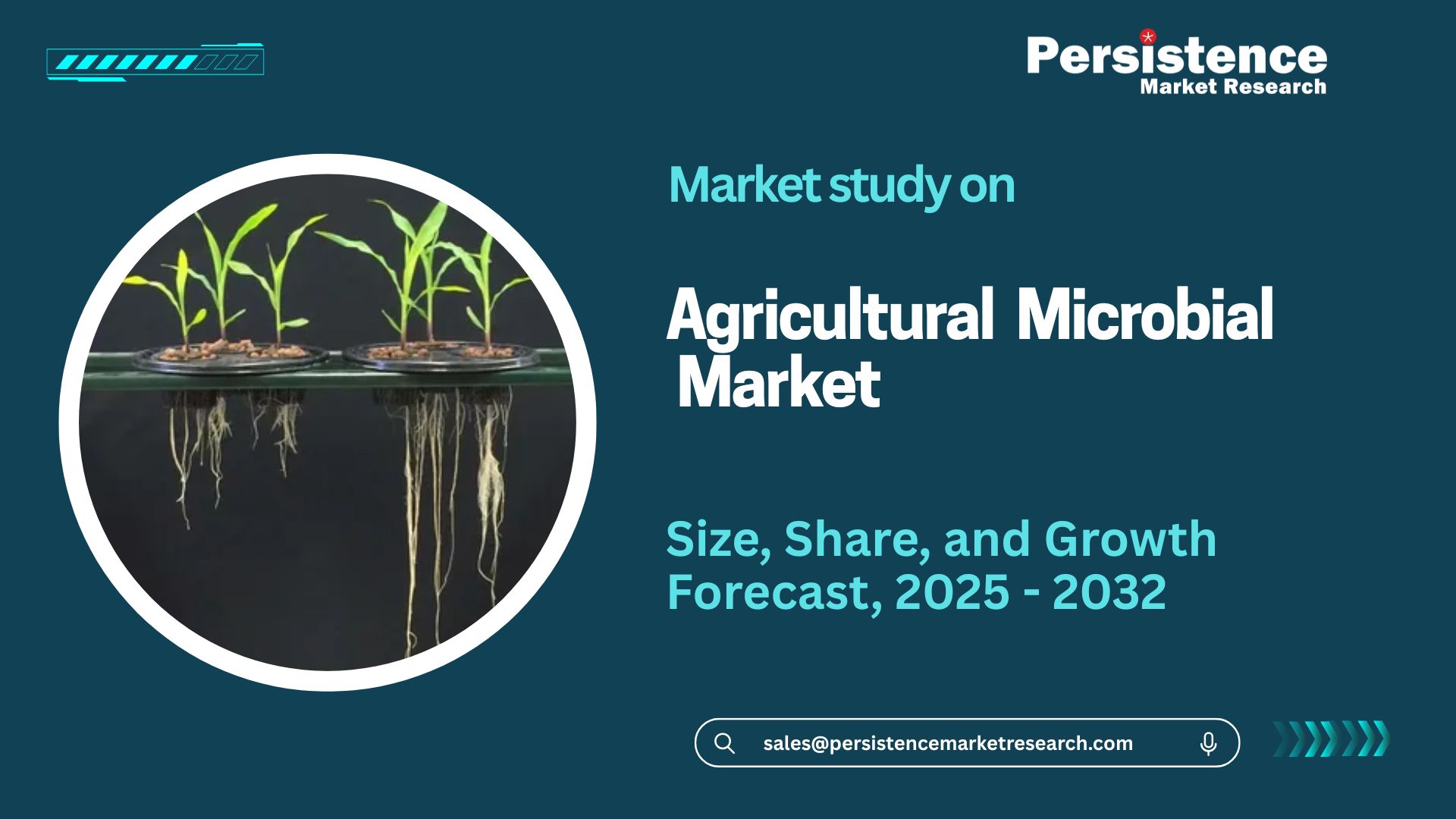 Agricultural Microbials Market Outlook Shaping the Future of ...