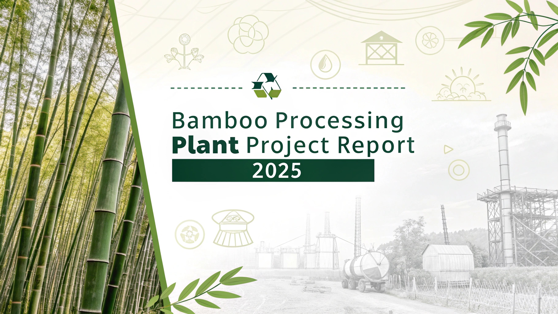 Bamboo Processing Plant Report 2025: Comprehensive Business Plan ...