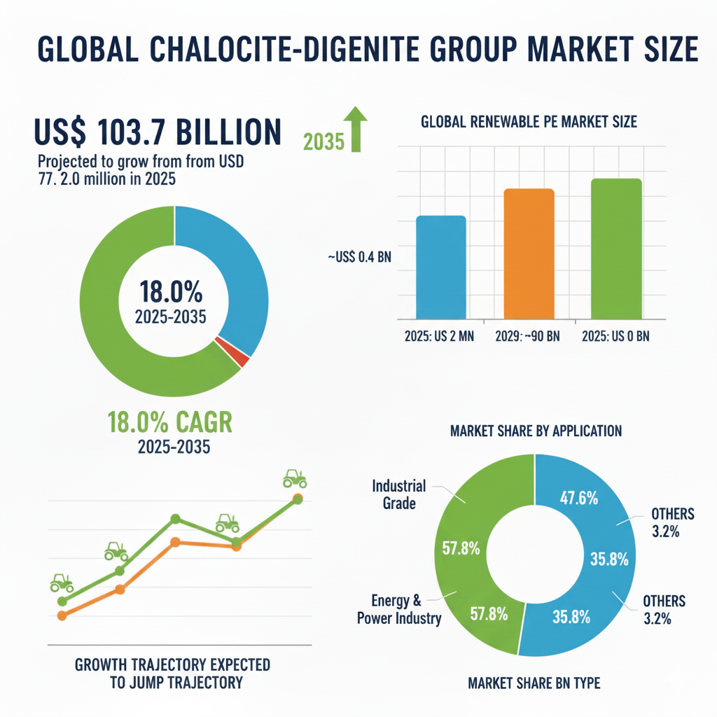 U.S. Chalcocite-Digenite Group Market Forecast 2025–2035: Trends and ...