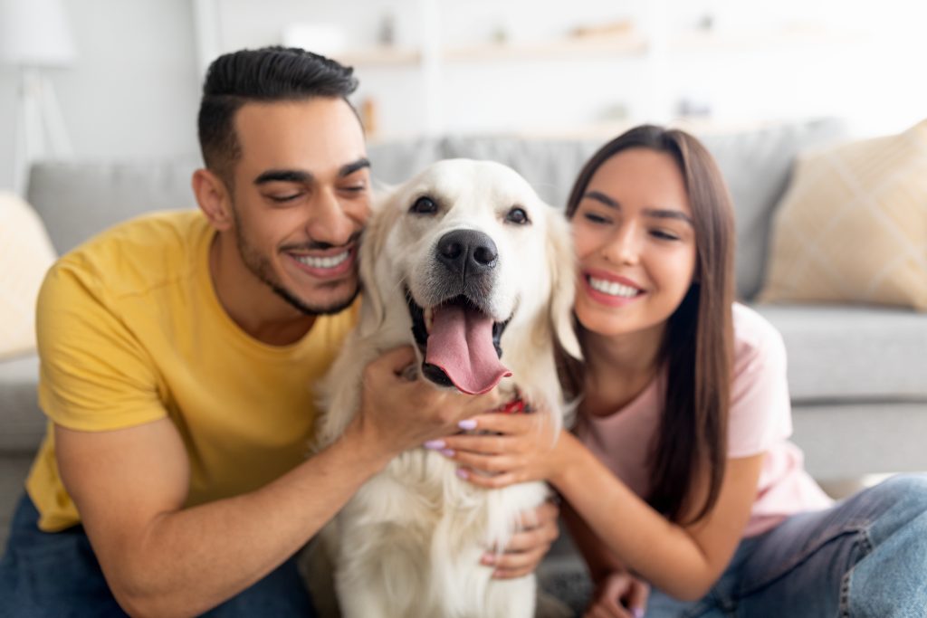 Best Friend Pet Shoppe Announces Grand Opening: A New Destination for ...