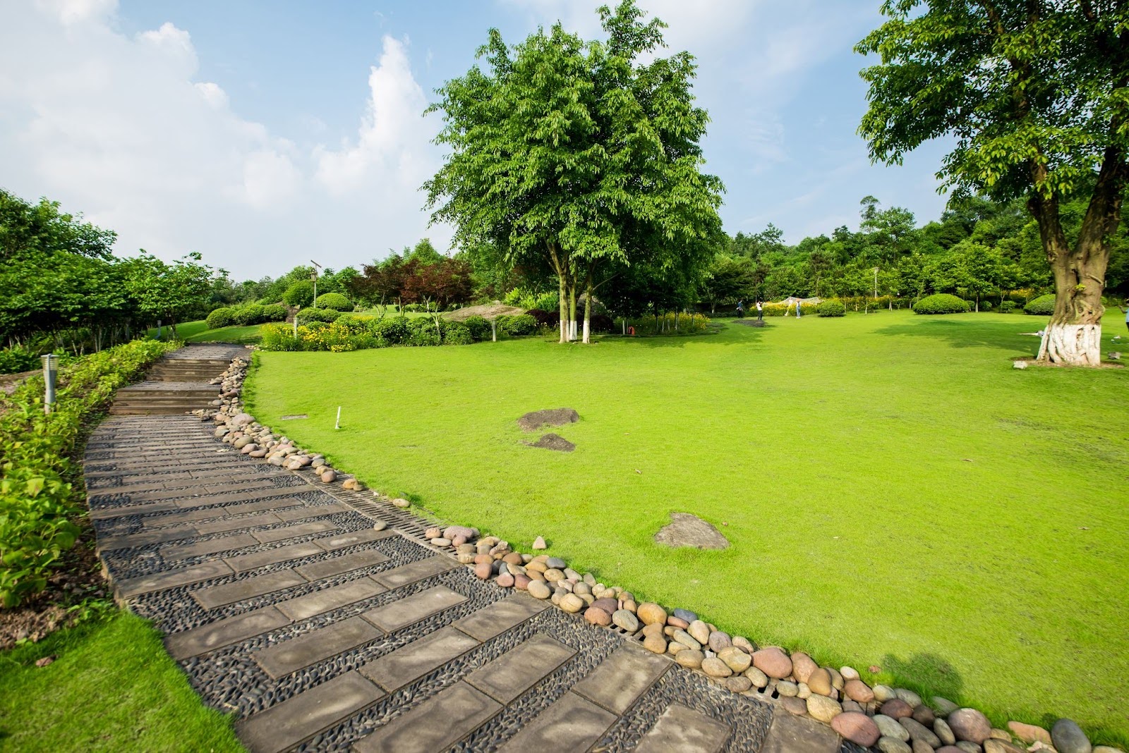 Landscaping in Kansas City, KS Enters a New Phase of Professional ...