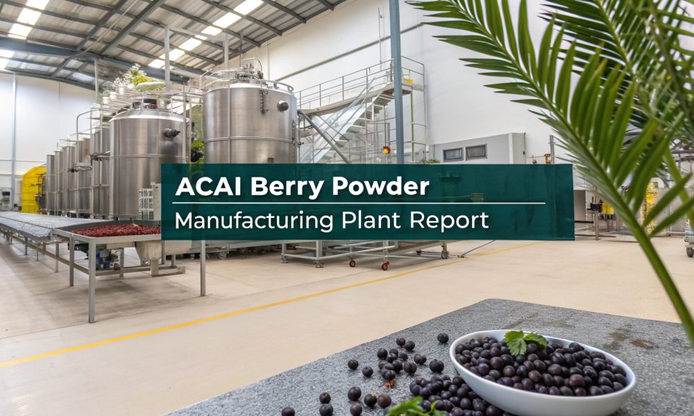 Acai Berry Powder Manufacturing Plant Cost- Detailed Process Flow ...