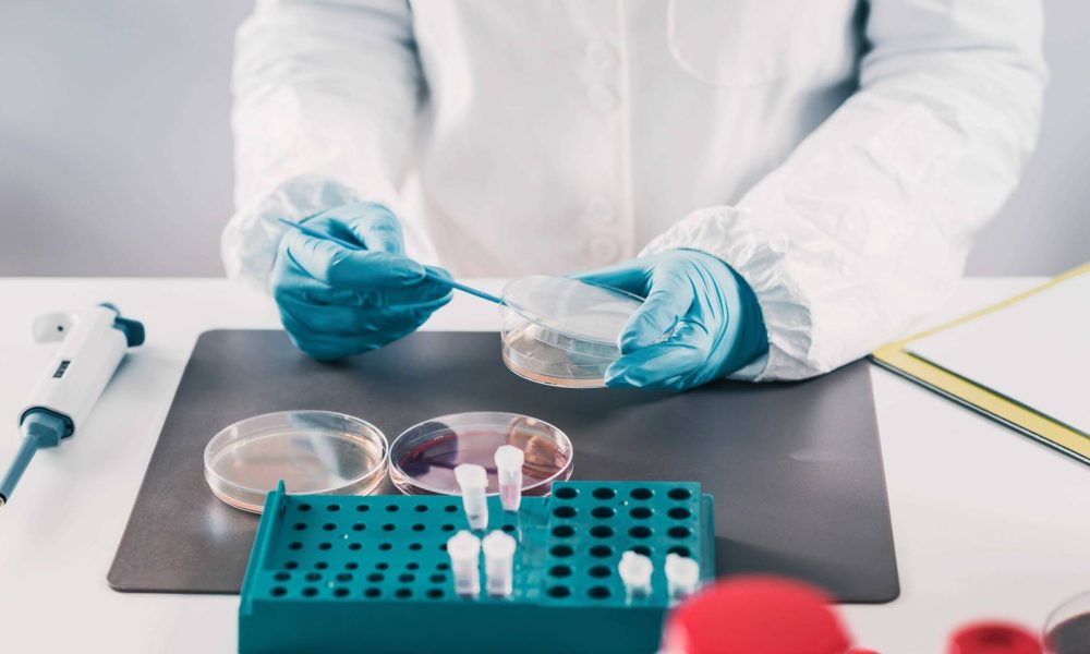 Cell And Tissue Analysis Products Market Will Reach a New Level of ...