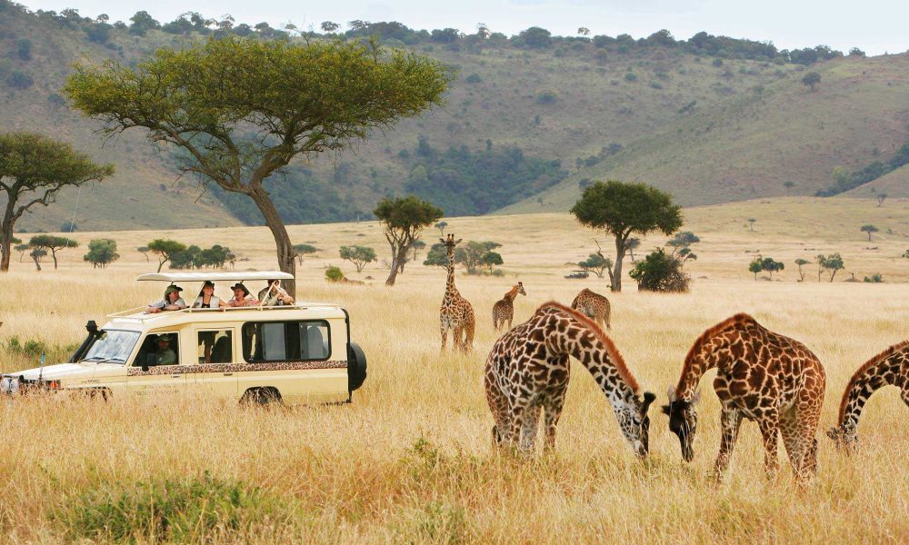 Adventure and Safari Market Hits New High | Major Giants African Bush ...