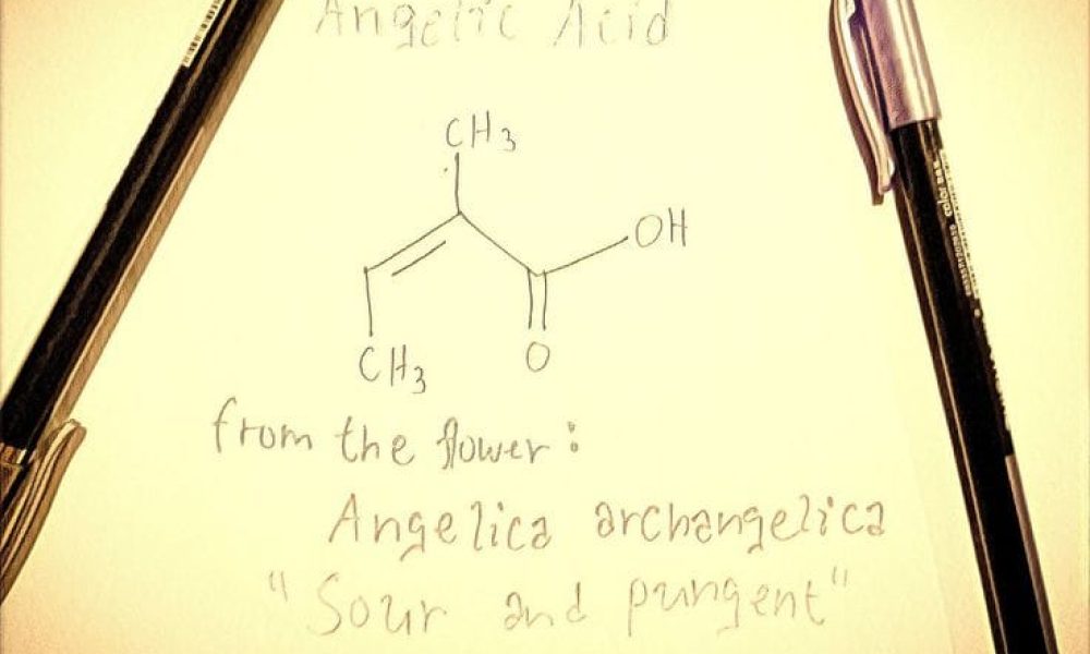 Angelic Acid Market - What Opportunities are Seen in 2025? - Newstrail