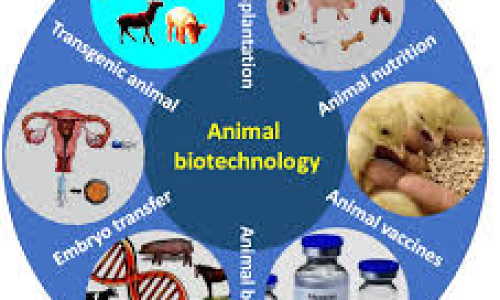 Animal Biotechnology Market Set for Exponential Growth by 2035 - Newstrail