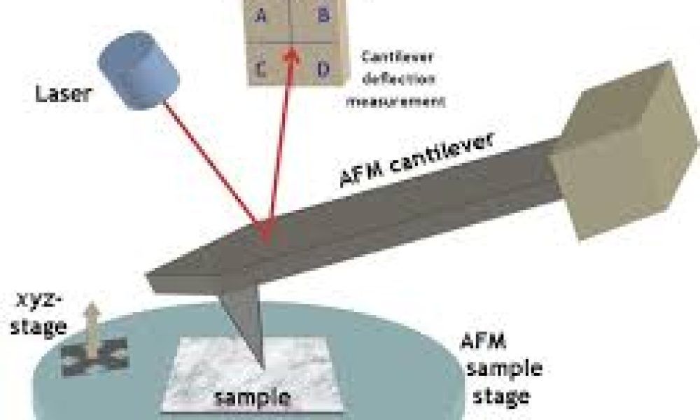 Atomic Force Microscope Market 2023 Outlook: Many Positive Catalysts ...