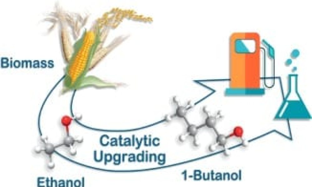 Bio-butanol Market Is Booming Worldwide with IGevo, Butamax Advanced ...