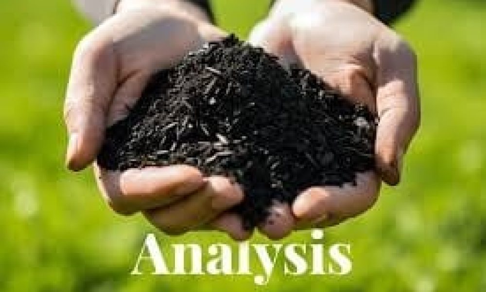 Biochar Market Sets the Table for Continued Growth - Newstrail