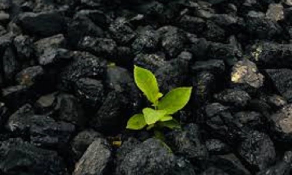 Biochar Market Gain Huge Investment Opportunity Ahead| Diacarbon Energy ...
