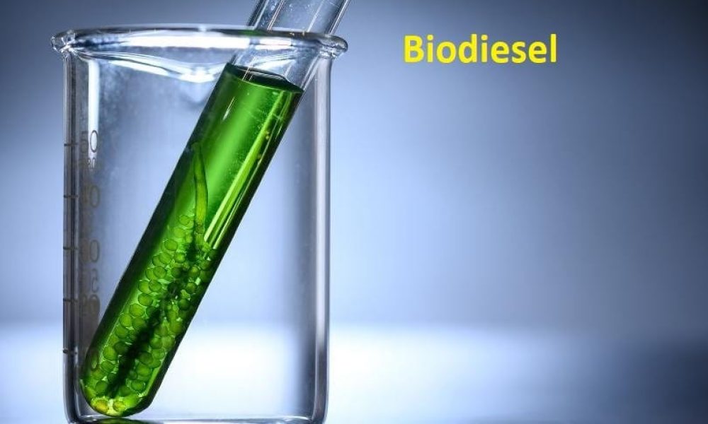 Biodiesel Market Business Growth 2023: Leading Company Analysis by 2030 ...