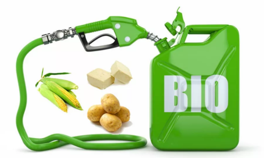 Bioethanol Market: Driving Sustainable Fuel Solutions by Forecasted ...