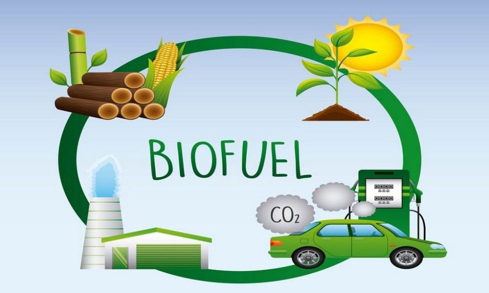 Biofuel Energy Market – Major Technology Giants in Buzz Again - Newstrail