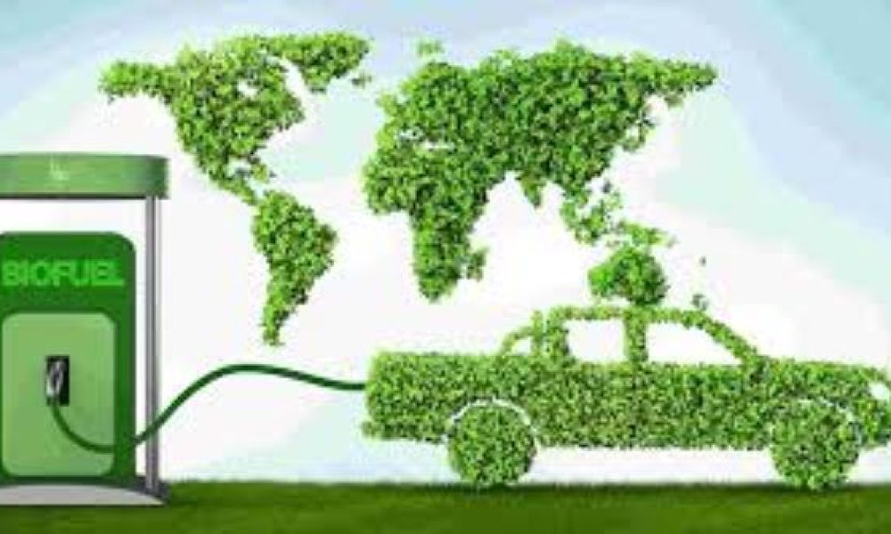 Biofuels and Biodiesel Market Emerging Players May Yields New ...
