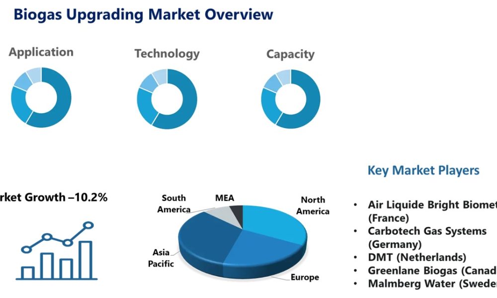 Biogas Upgrading Market to Witness Stunning Growth | DMT, Greenlane ...