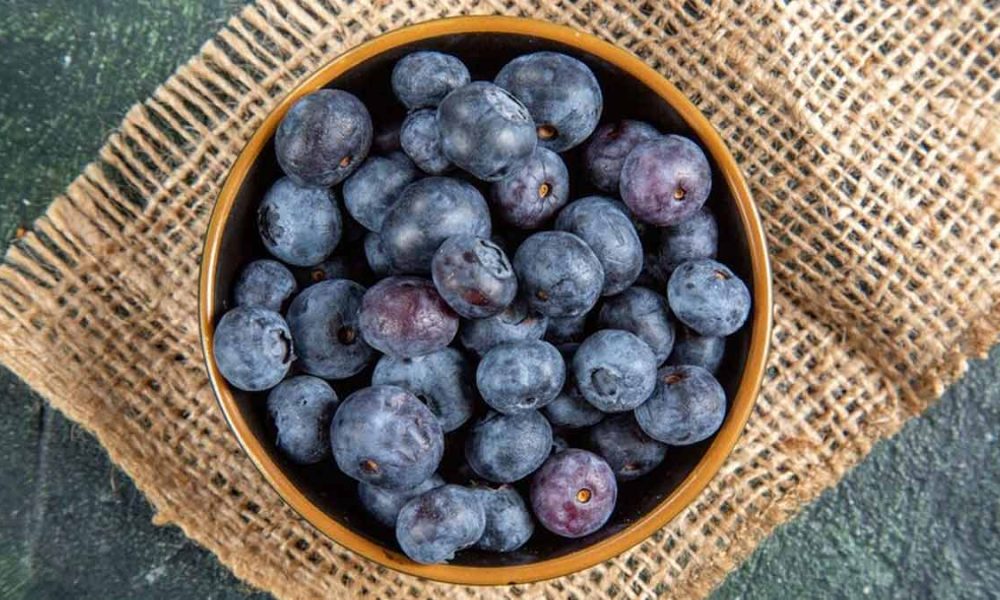 Blueberry Ingredient Market is Booming Worldwide with Ocean Spray, Dole ...