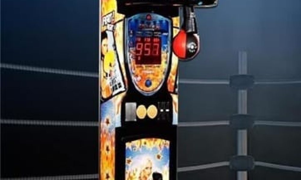 Boxing Training Game Machine Market is Set To Fly High in Years to Come ...