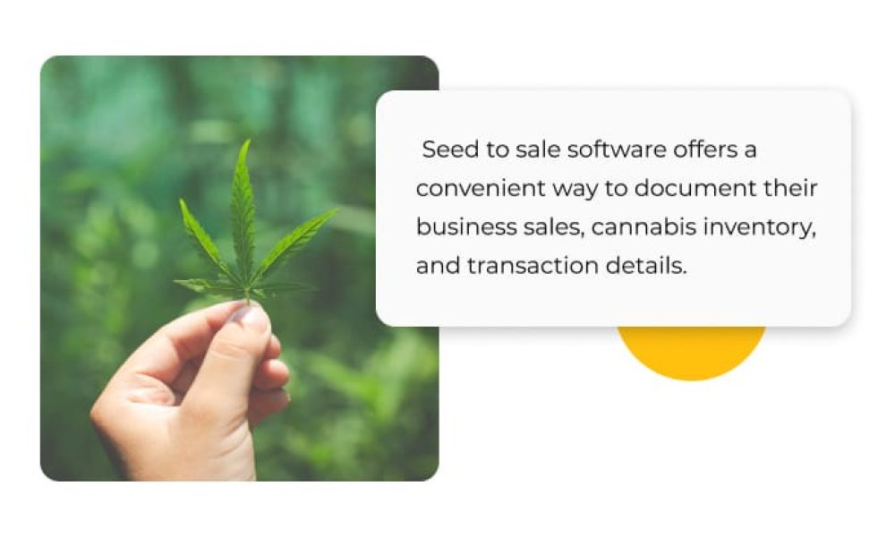 Cannabis Seed to Sale Software Market Is Booming So Rapidly | MJ ...