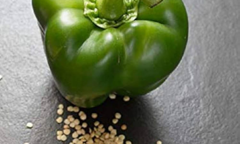 Capsicum Seeds Market Next Big Thing | Major Giants HM Clause, Bayer ...