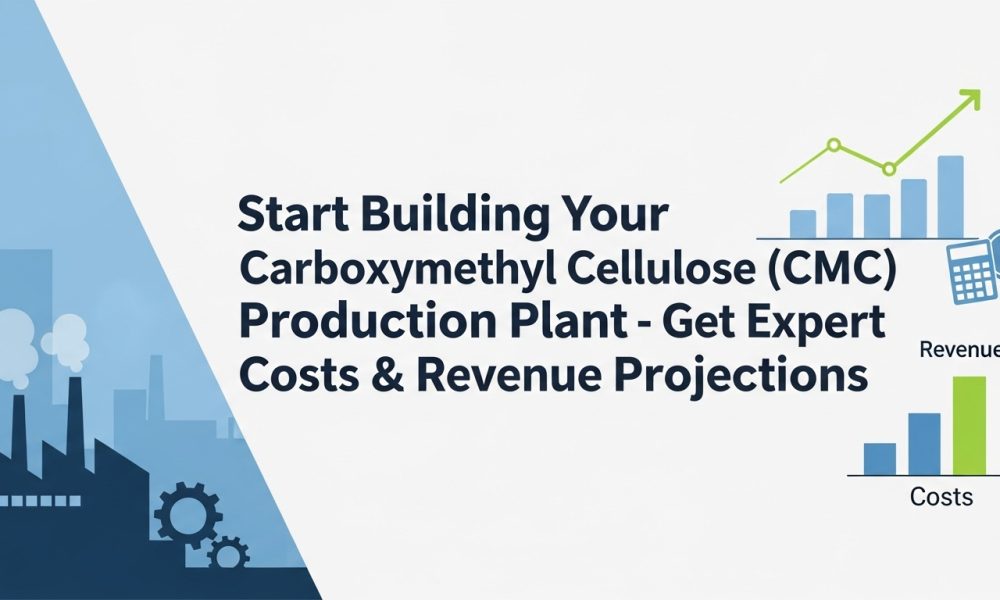 Start Building Your Carboxymethyl Cellulose (CMC) Production Plant ...