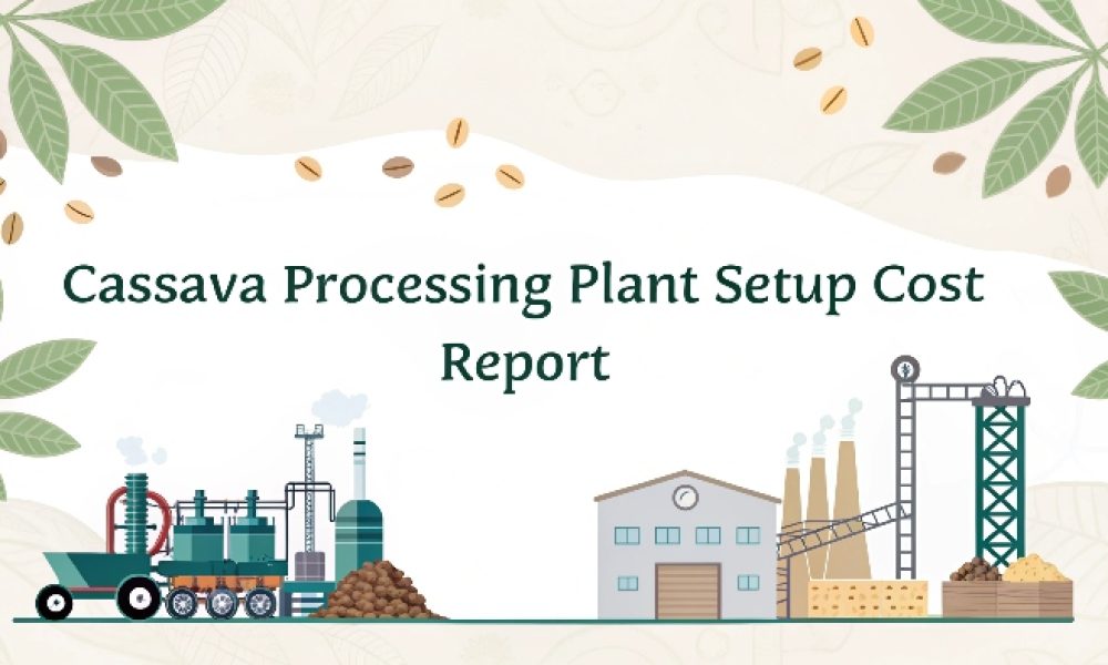Cassava Processing Plant Setup Cost Breakdown: Machinery, Raw Materials ...