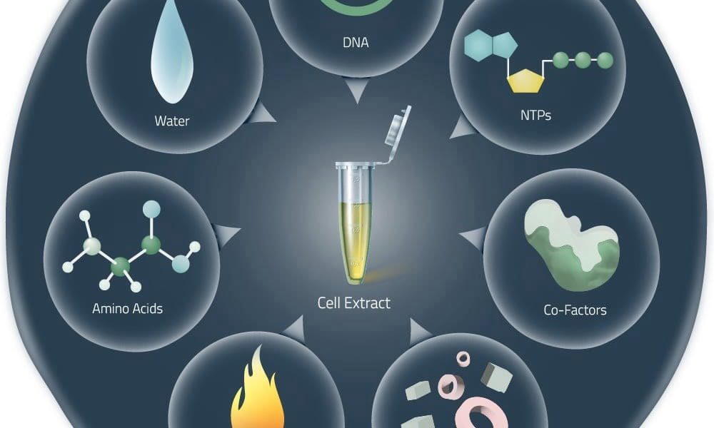 Cell-Free Protein Expression System Market Driving Growth on Multiple ...